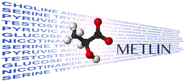 isoMETLIN Metabolite Database | Scripps Research